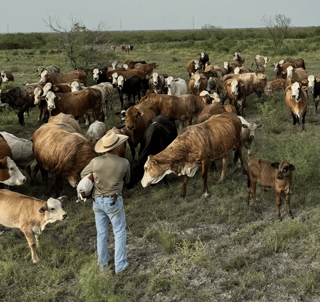Crescent C Ranch - Grassroots Carbon